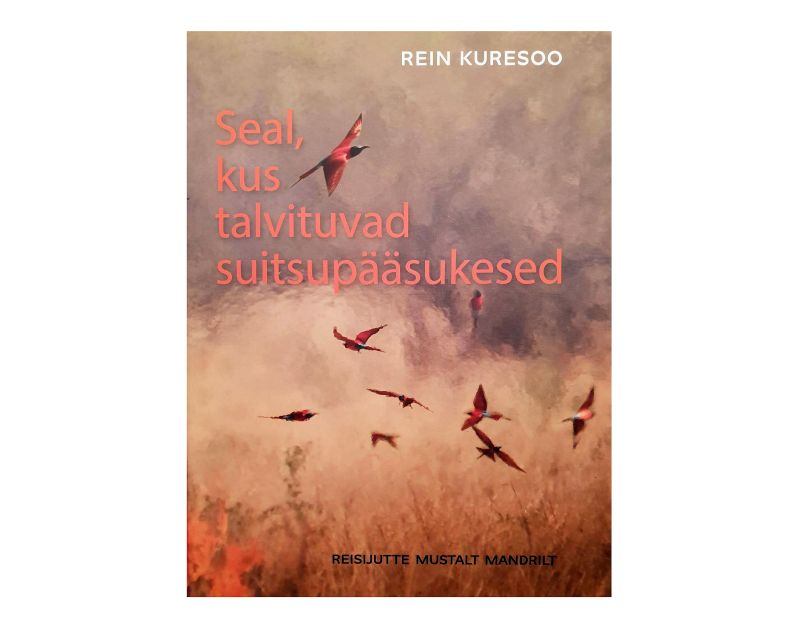 2019. aasta parima reisiraamatu kirjutas Rein Kuresoo | Reisijutud